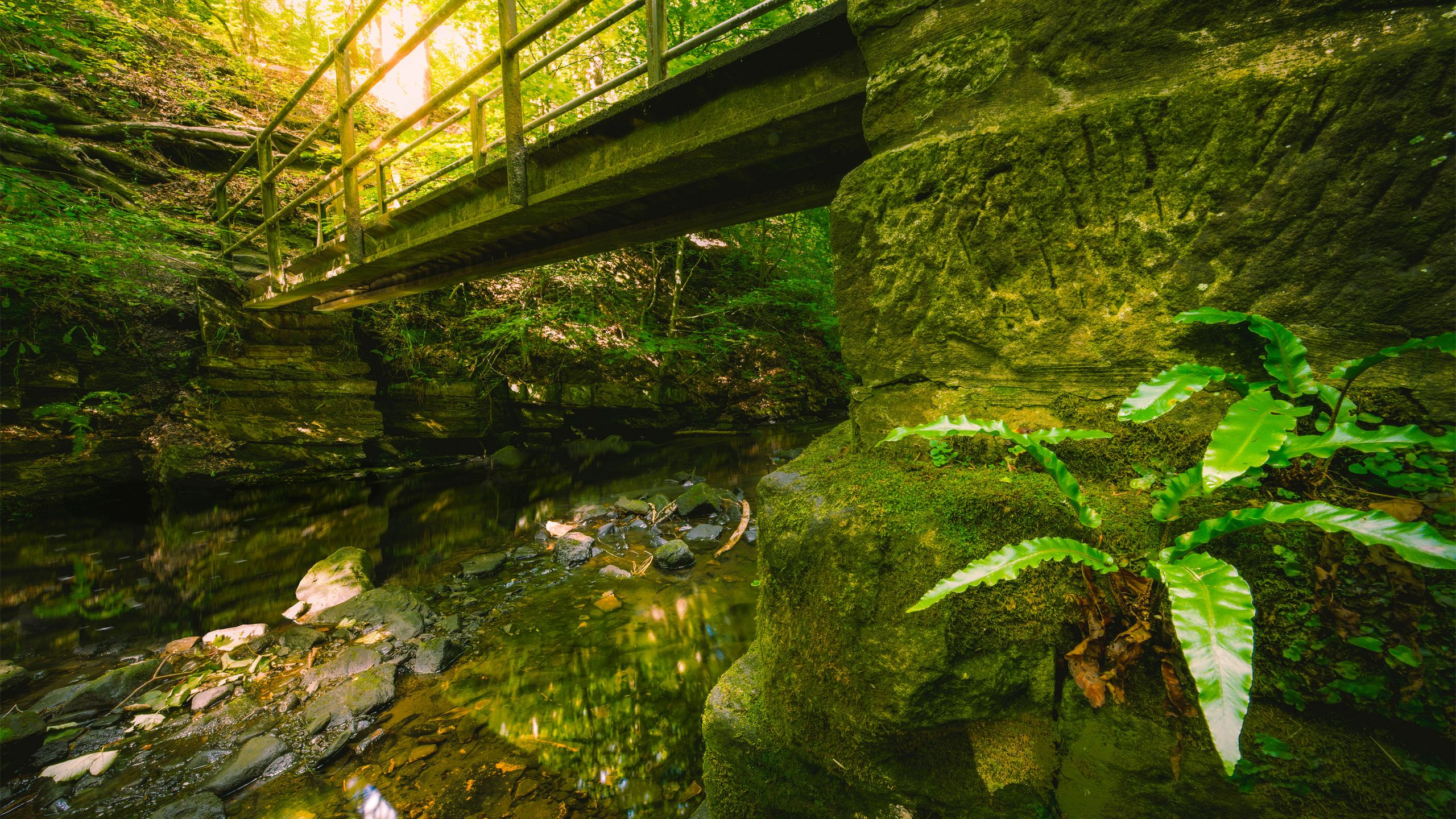 World in wide-angle: Capture stunning images with ultra-wide lenses ...
