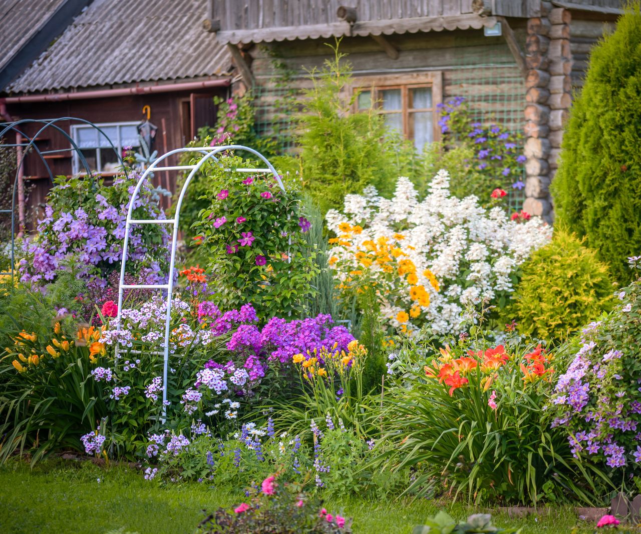 AI in gardening: How we use artificial intelligence in yards | Homes ...