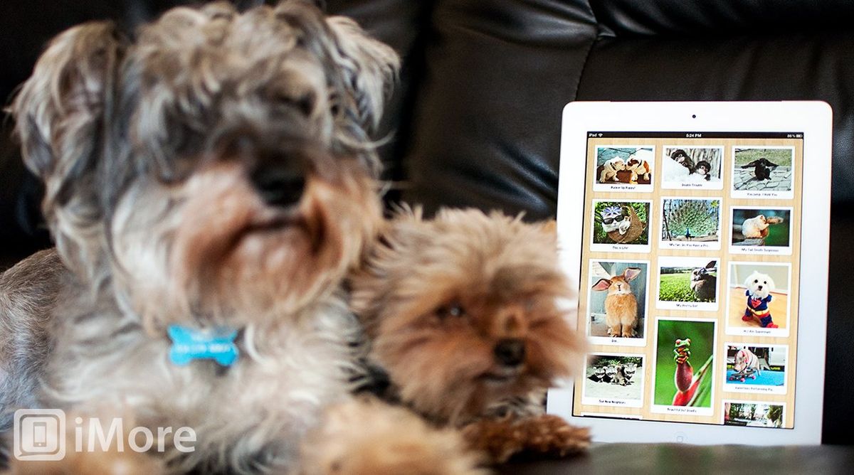Cutest Paw for iPhone and iPad review: thousands of adorable animal ...