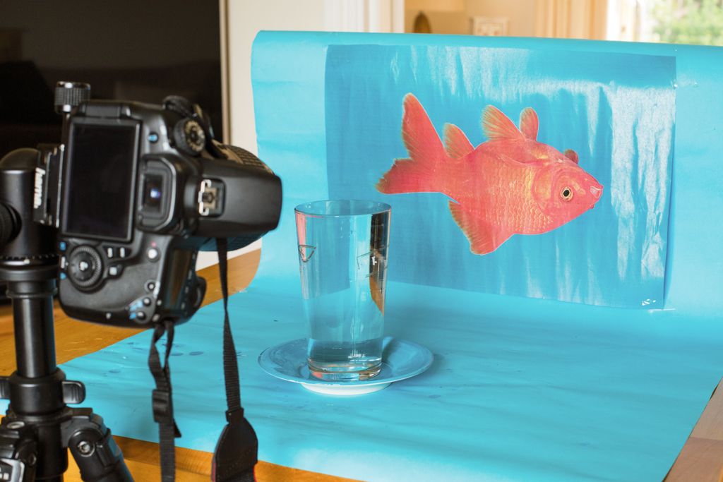 Home photography ideas: Take trick shots using water drops! | Digital ...
