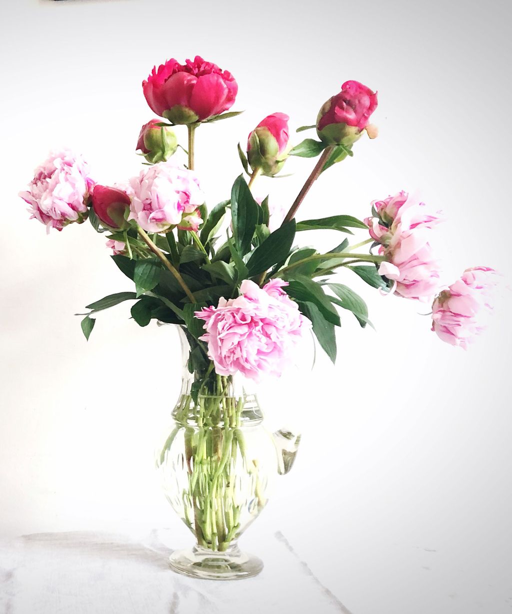 Peonies care - everything you need to know | Livingetc