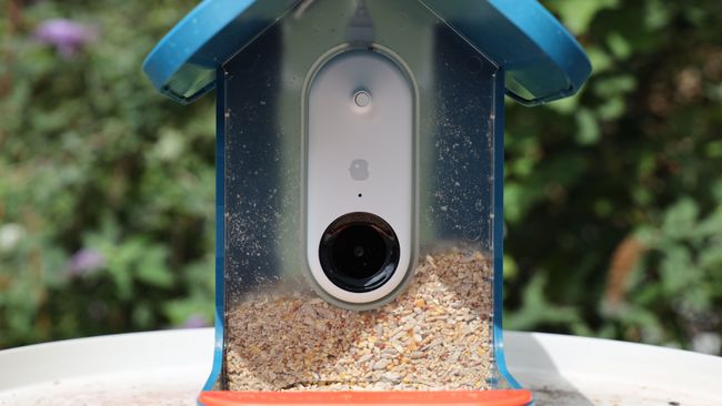 The best bird box camera | Digital Camera World