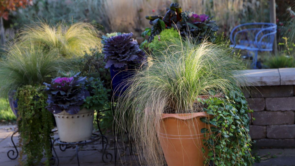 Fall planter ideas: 10 seasonal containers to try | Gardeningetc