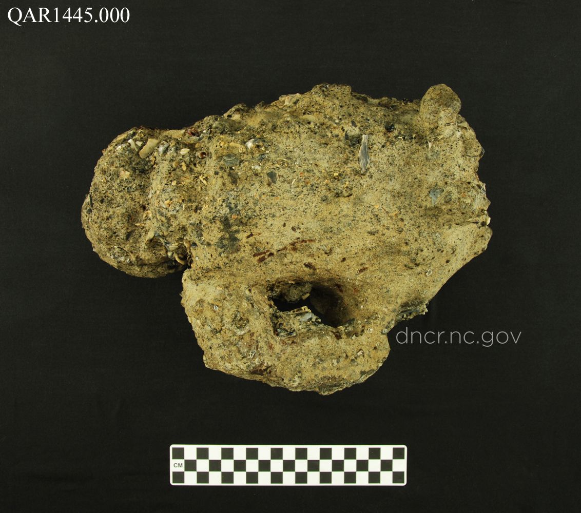 Photos: Book Fragments from Blackbeard's Ship | Live Science