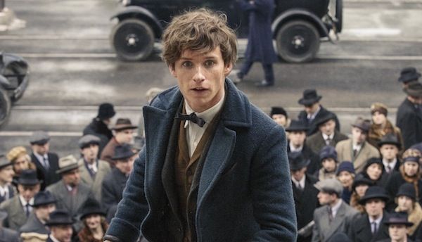 Fantastic Beasts Prop Reveals A Key Detail About Newt's Brother ...