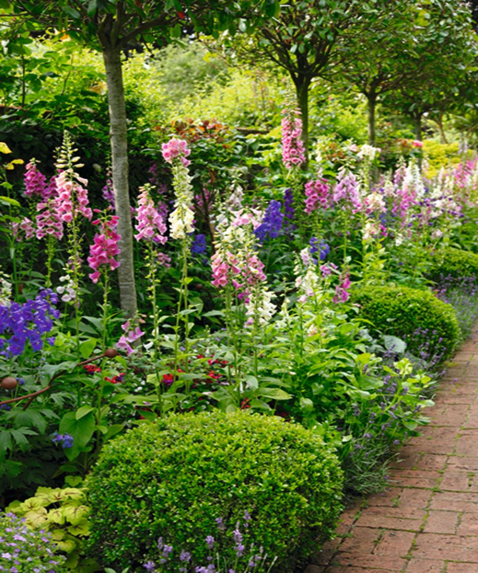 Long Garden Ideas: 16 Tips for Landscaping a Spacious Plot | Homebuilding