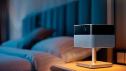 Hisense vs TCL: Which Budget TV Brand Is Best? | Livingetc