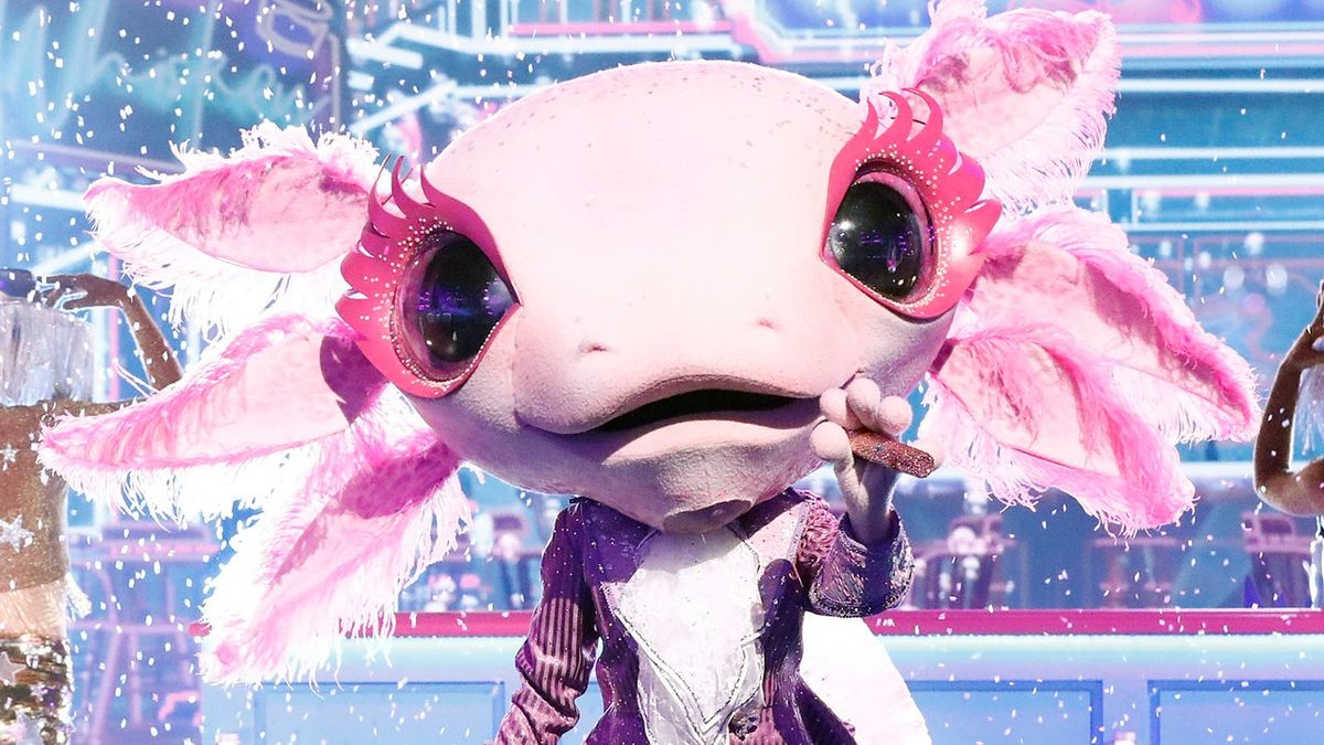 The Masked Singer Season 9 Eliminations | Cinemablend