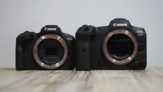 Canon EOS R50 review | Digital Camera World