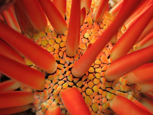 Under the sea: 50 breathtaking images from our oceans | Live Science