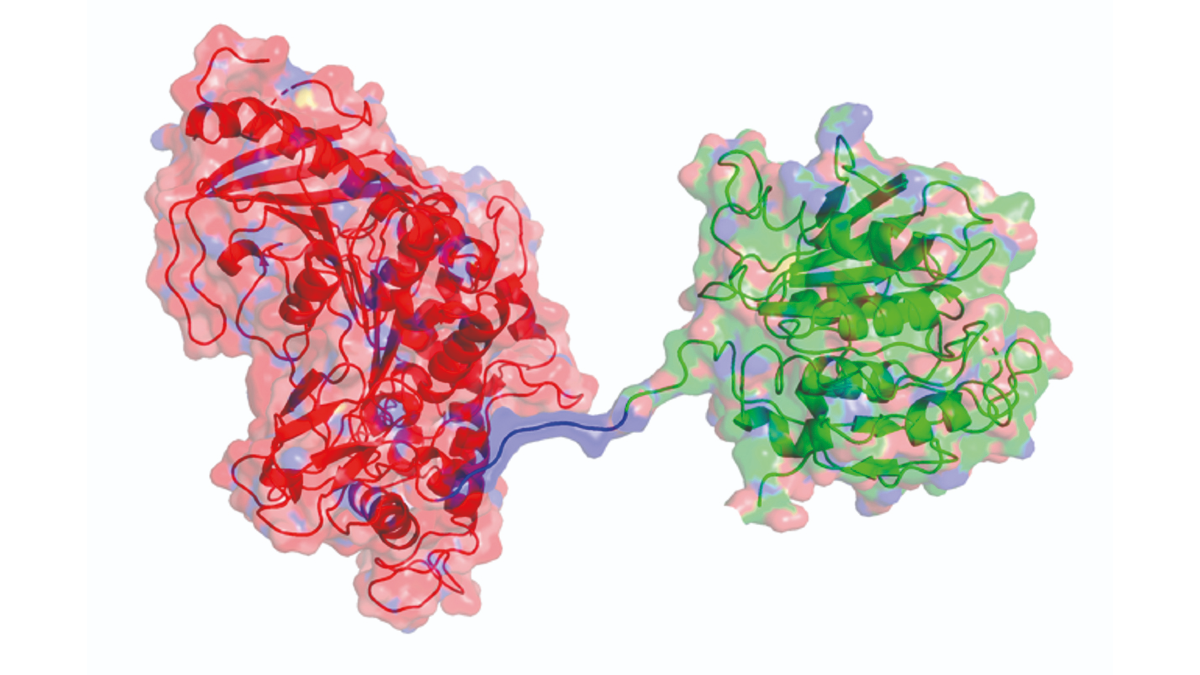 Plastic-eating bacteria: Engineering and impact | Live Science
