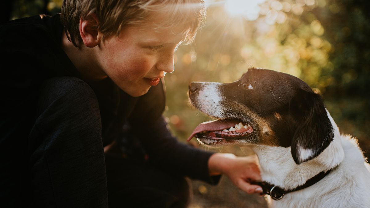 32 reasons why dogs are better than humans | PetsRadar