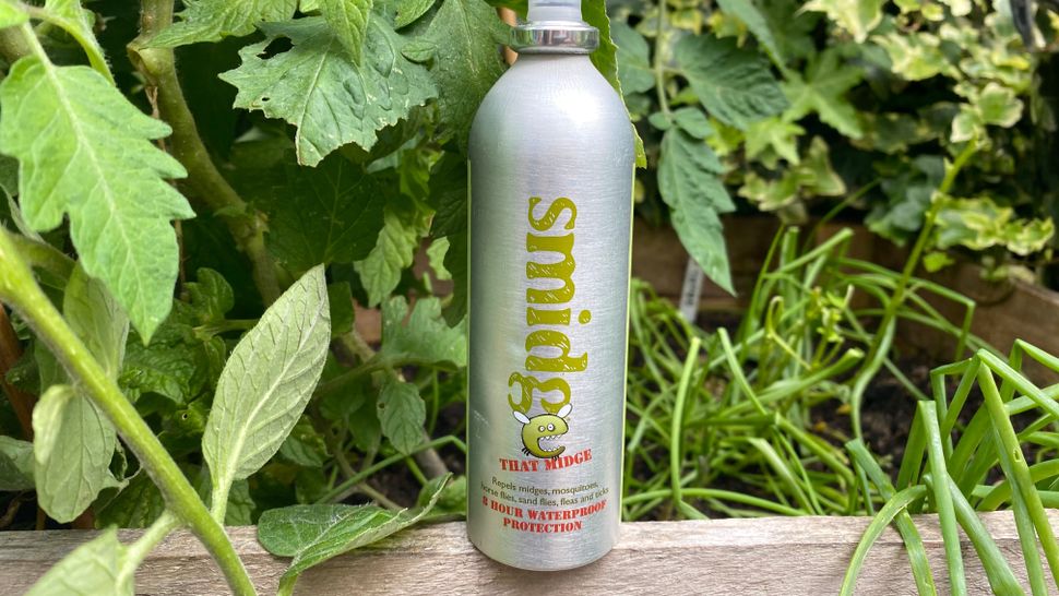 How to stop midge bites: 15 expert tips | Advnture