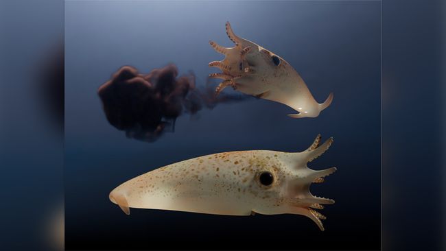 11 jaw-dropping fossil discoveries that weren't dinosaurs in 2023 ...