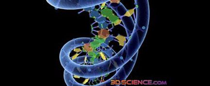 Genes: The Instruction Manuals for Life | Live Science
