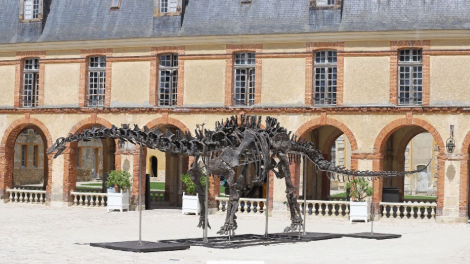 Largest dinosaur ever auctioned sells for over $6 million — and it's ...
