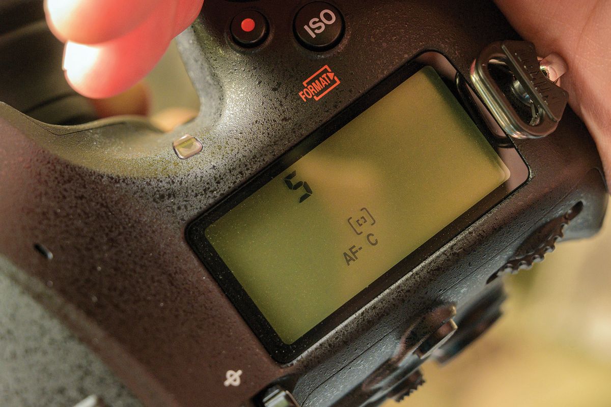 Video: how to photograph birds in flight | Digital Camera World