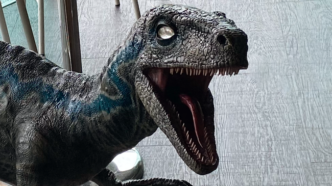 Intel Raptor Lake Non-K CPUs Show Up In New Benchmarks | Tom's Hardware