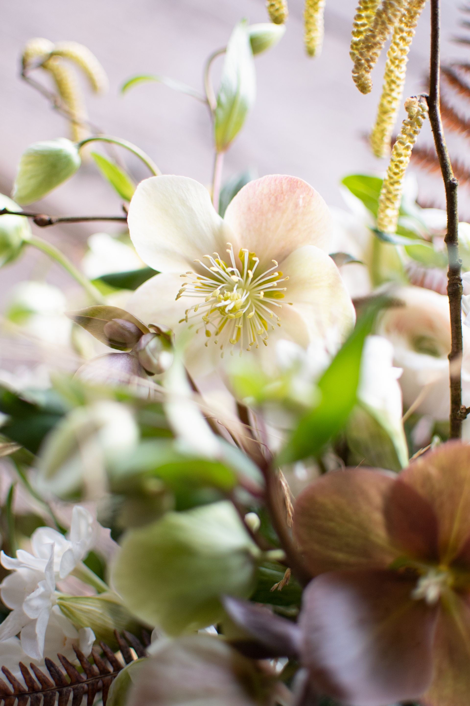 How to create a winter flower arrangement: by Philippa Craddock | Homes ...