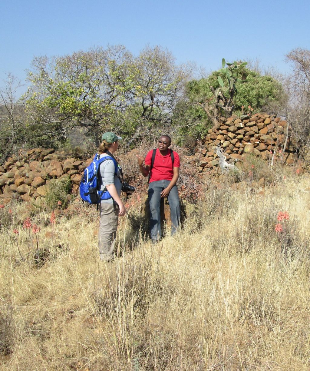 Lost City in South Africa Discovered Hiding Beneath Thick Vegetation ...