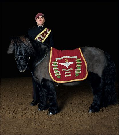 Military animal mascots | Country Life