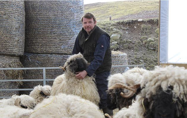 This Farming Life – BBC2 | What to Watch