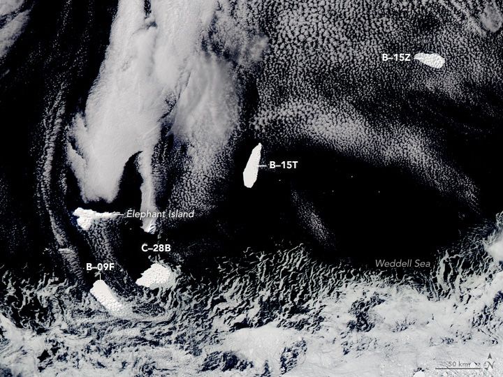 This Coffin-Shaped Iceberg Is Drifting Toward Death | Live Science