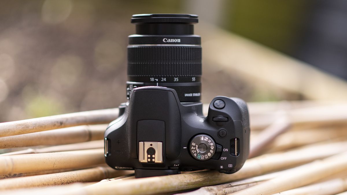 Canon EOS Rebel T7 / EOS 2000D review | TechRadar