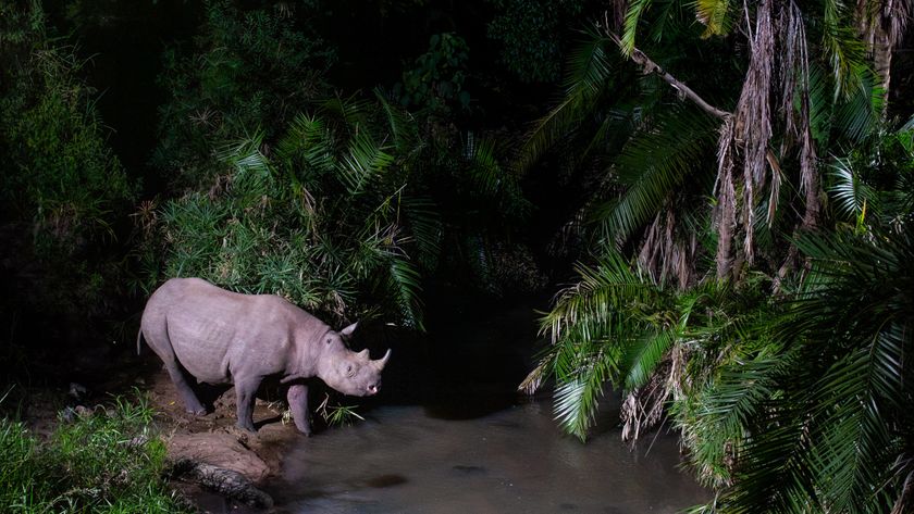 The people have spoken! Here's the winner of the Wildlife Photographer ...