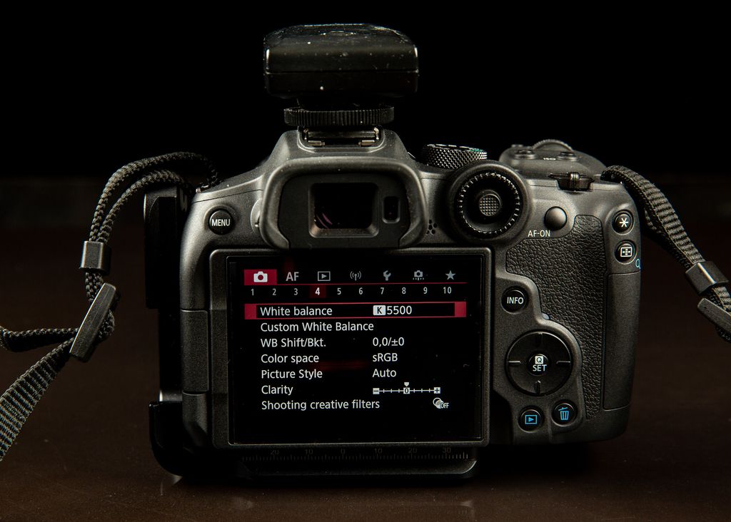 10 tips for superb close-ups: how to shoot macro with studio lighting ...