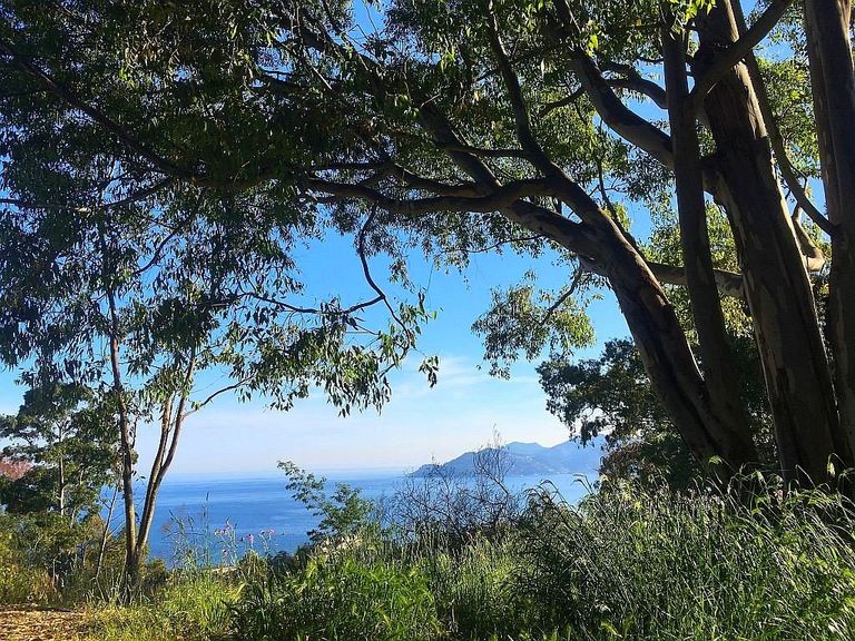 15 unmissable things to do in Cannes | Wallpaper*