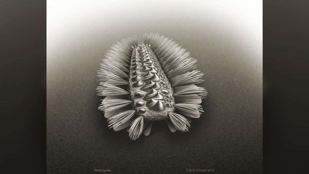 Armored Cambrian 'worm' that looks like a toilet scrub brush unearthed ...