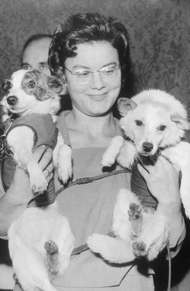 Animals in space | Space