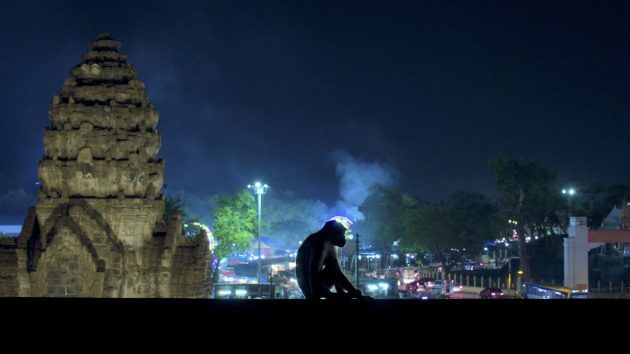 Night on Earth – Netflix | What to Watch