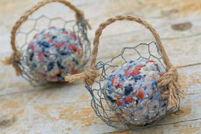 How to make fat balls for birds in 4 easy steps | Homes and Gardens