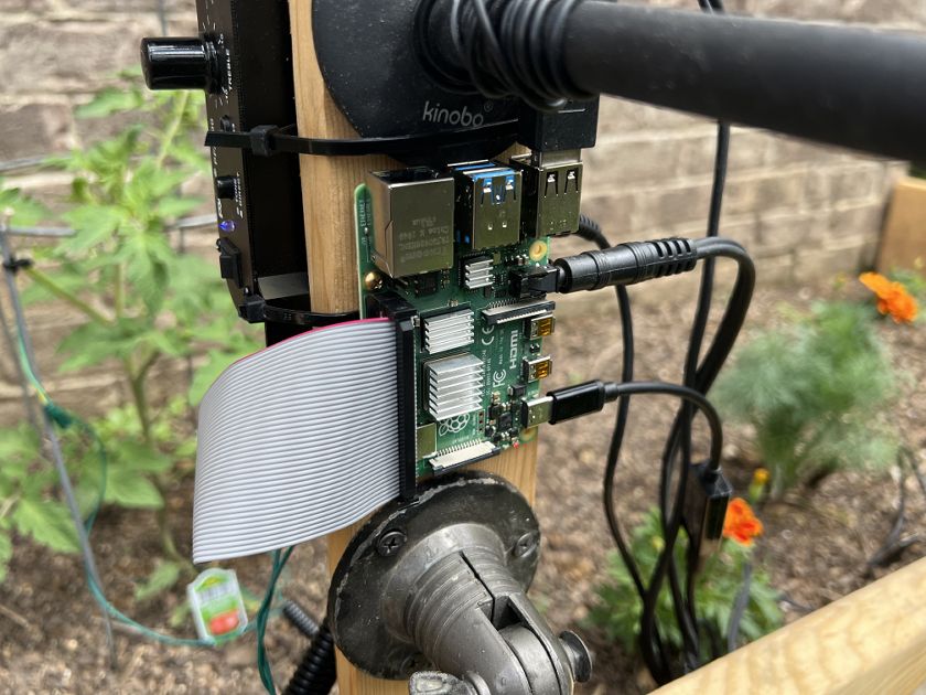 Talking tomato plant uses Raspberry Pi and AI to tell you how its ...