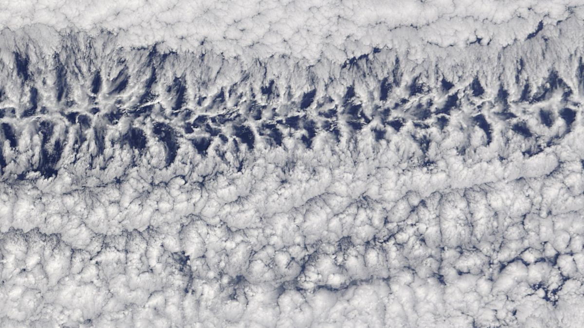 Giant, near-perfect cloud ring appears in the middle of the Pacific ...