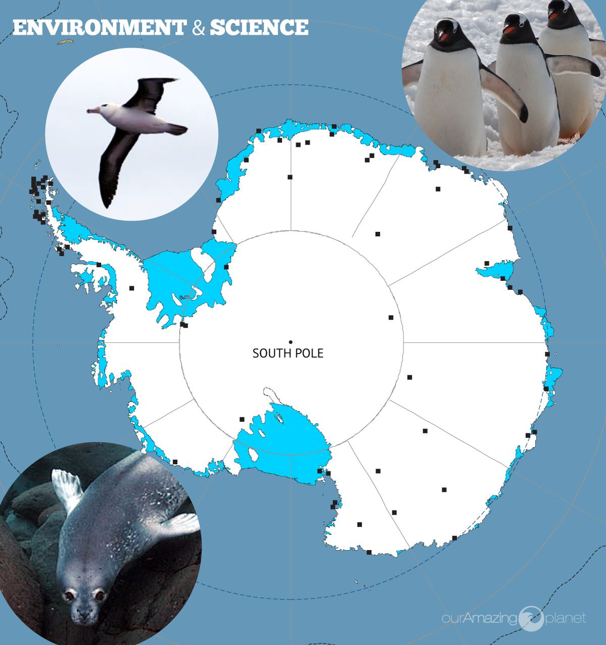 Antarctica: 100 Years of Exploration (Infographic) | Live Science