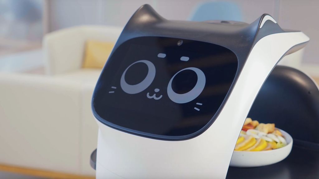 The best robots from CES 2020: the cute, the cuddly and the confusing ...