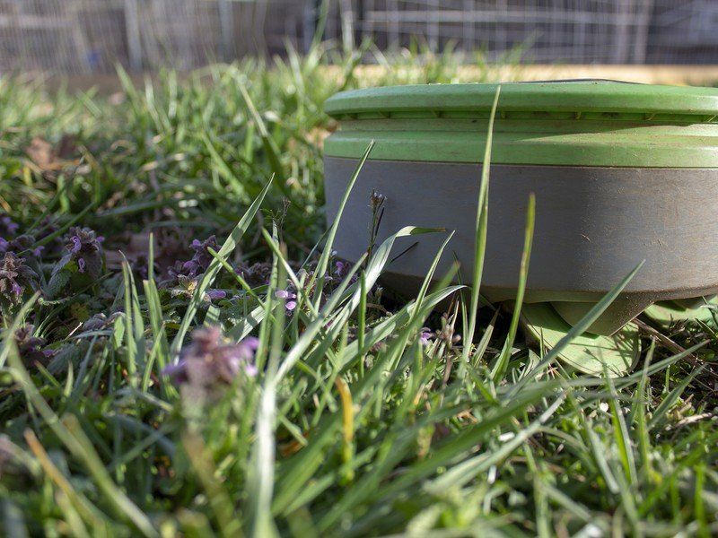 Robots are slowly taking over our daily chores, and it's about friggin ...