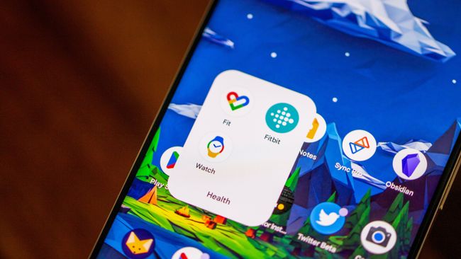 Google needs to figure out what to do with Fitbit and Google Fit ...