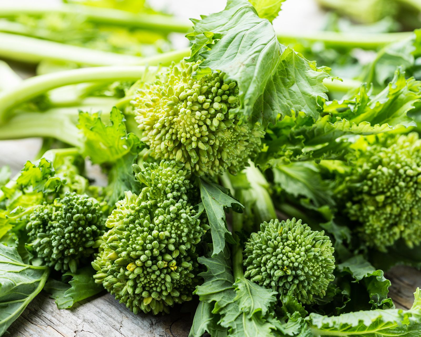 Grow An Italian Vegetable Garden: 8 Authentic Varieties | Gardening ...