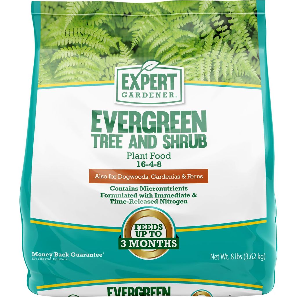 How and when to fertilize hedges: experts reveal top tips | Homes and ...