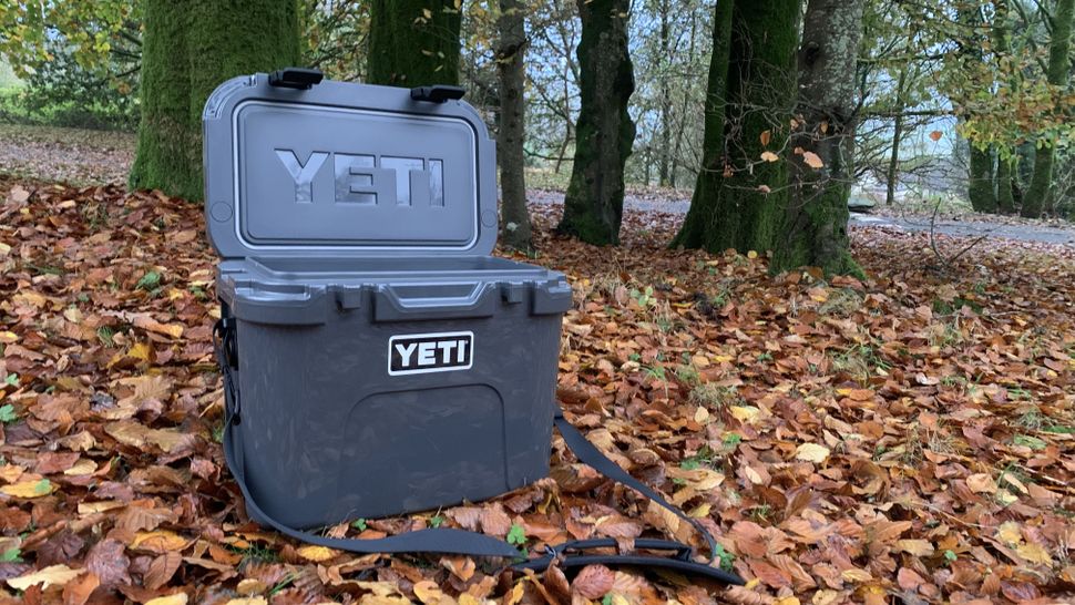 Yeti Roadie 15 Hard Cooler review: compact, carryable and very, very ...