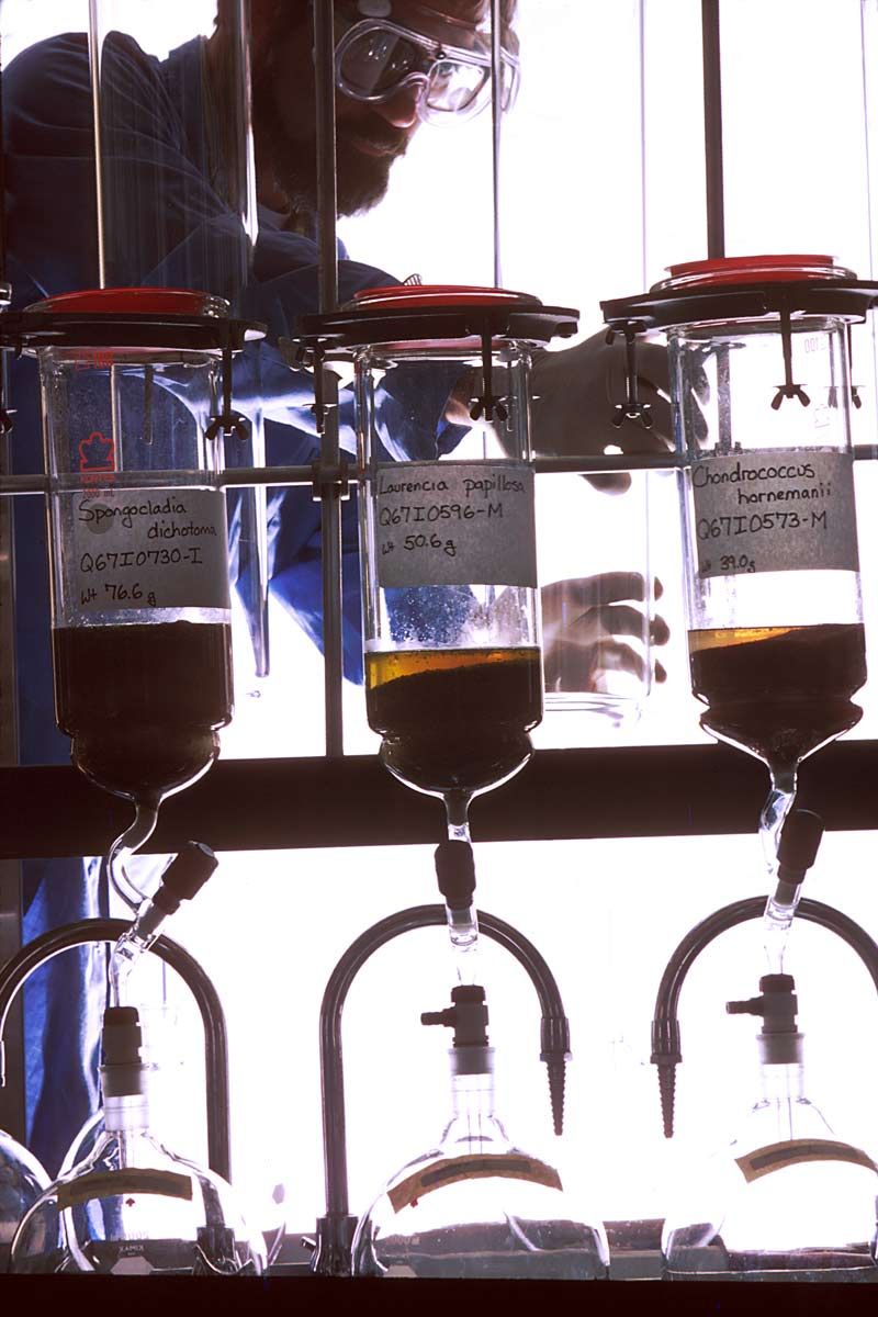 Nature: The Master Medicine-Maker | Live Science