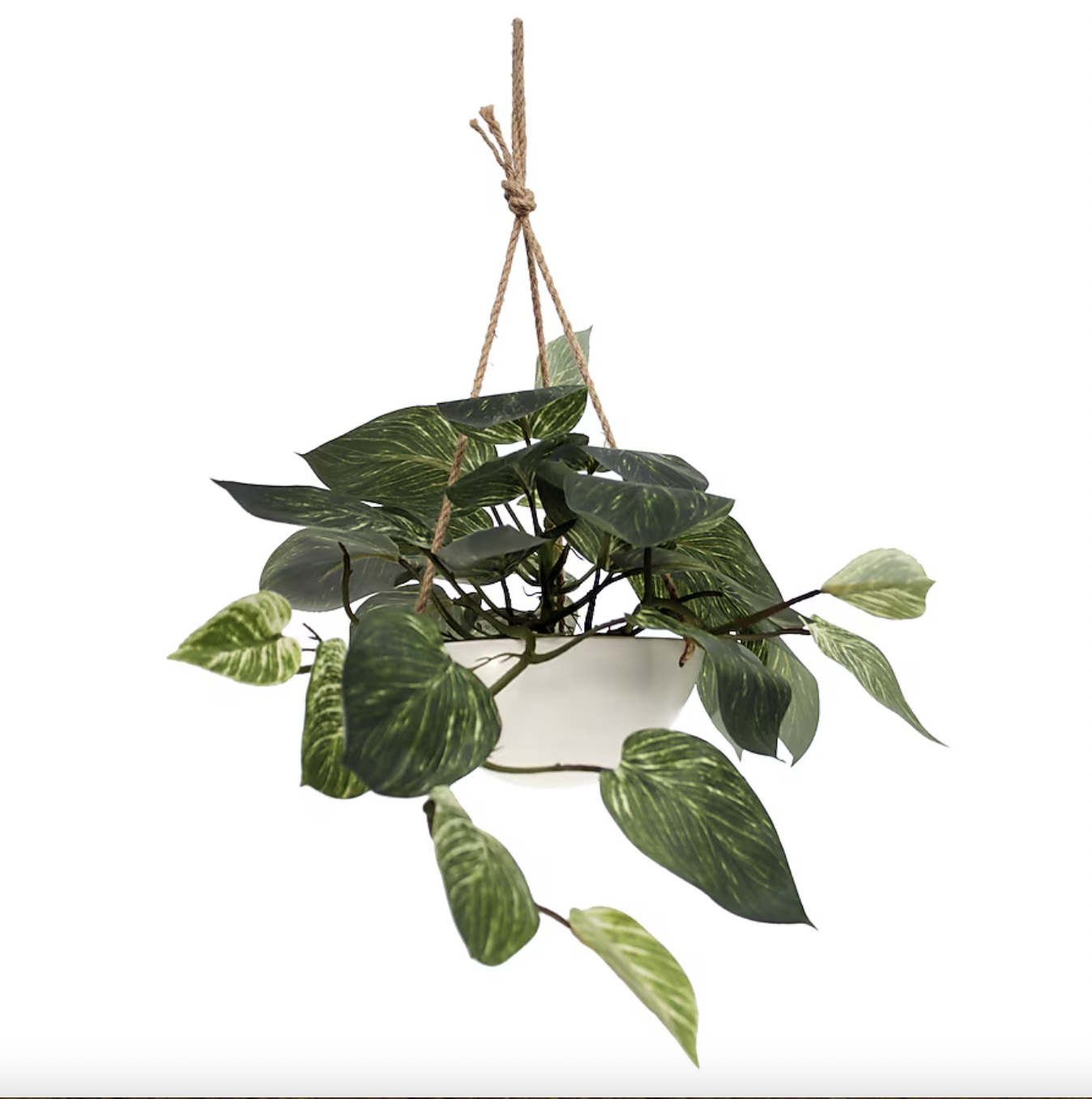 How to Care for a Pothos Plant: An Expert Guide | Livingetc