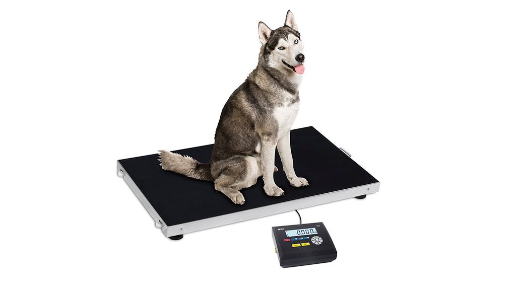 The best weighing scales for pets | PetsRadar