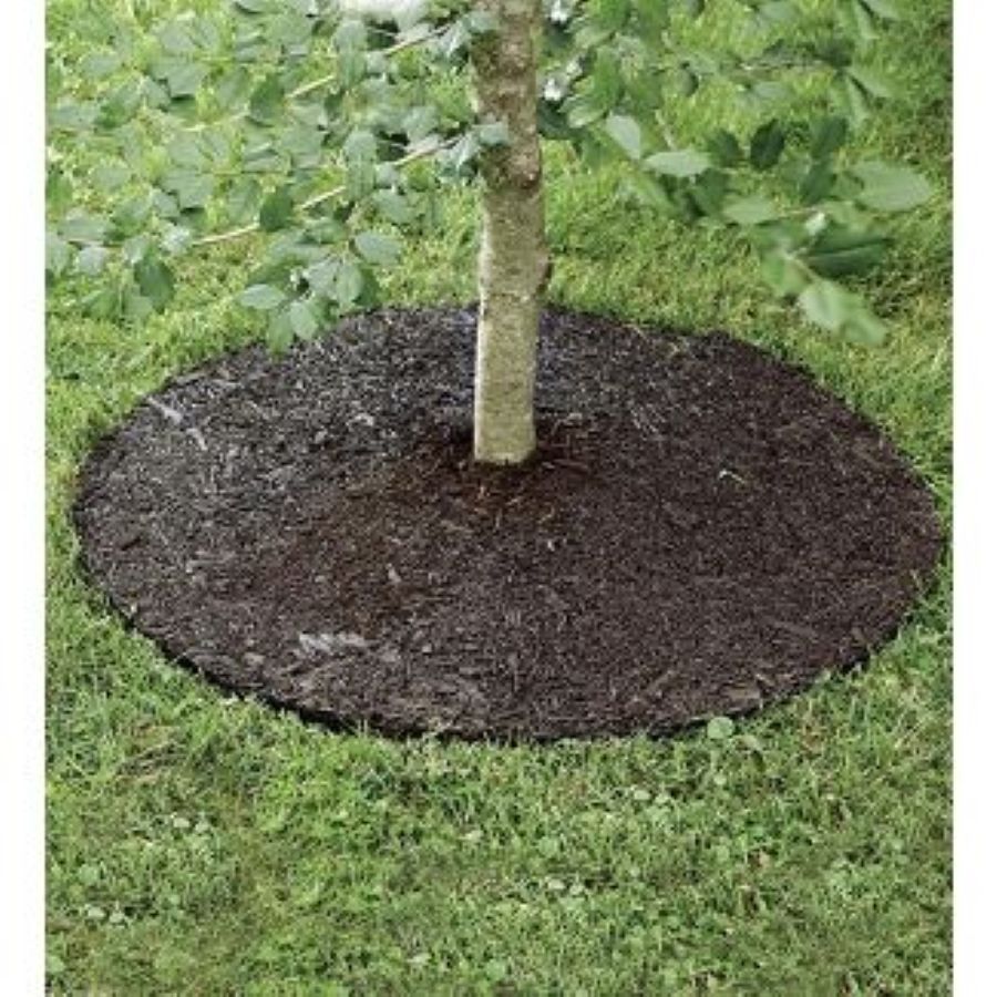 What is mulching? Experts say its the best thing you can do for your ...