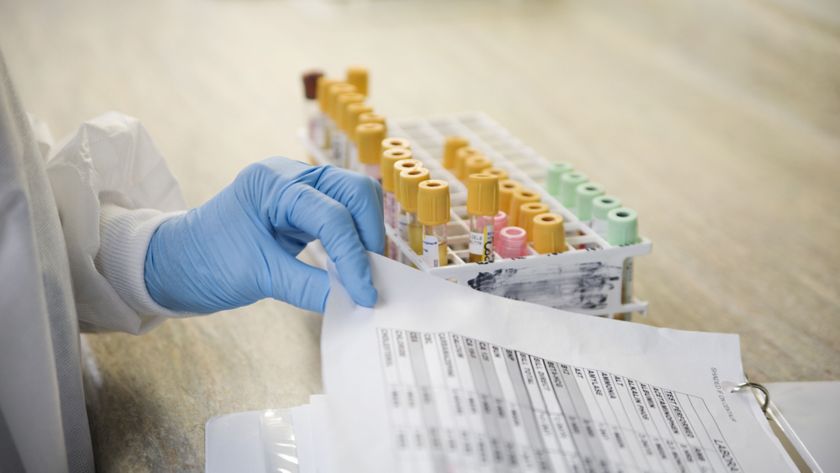 Copilot And Bing Are Down And Chatgpt Cant Search The Web Windows Central