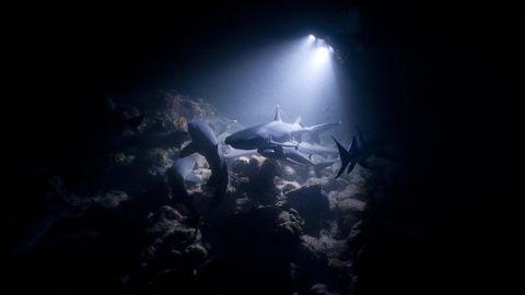 'We know far more about the deep ocean than the moon or Mars,' says ...